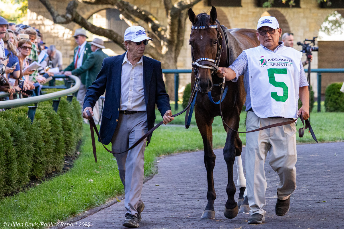 Thorpedo Anna Retirement Ceremony Set For Sunday At Churchill Downs ...