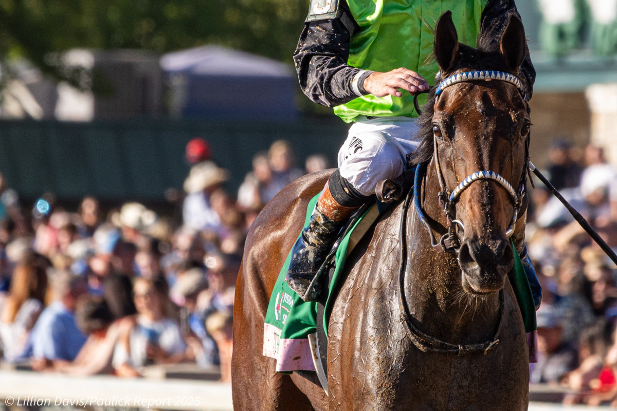 Champion Thorpedo Anna Will Visit Gun Runner, Curlin For First Two ...