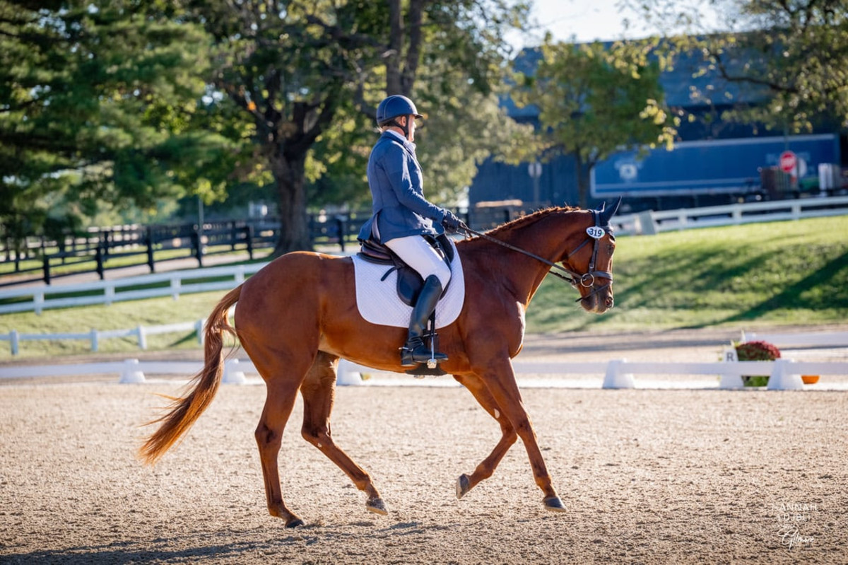 Preliminary Competition Concludes At 2025 Thoroughbred Makeover ...