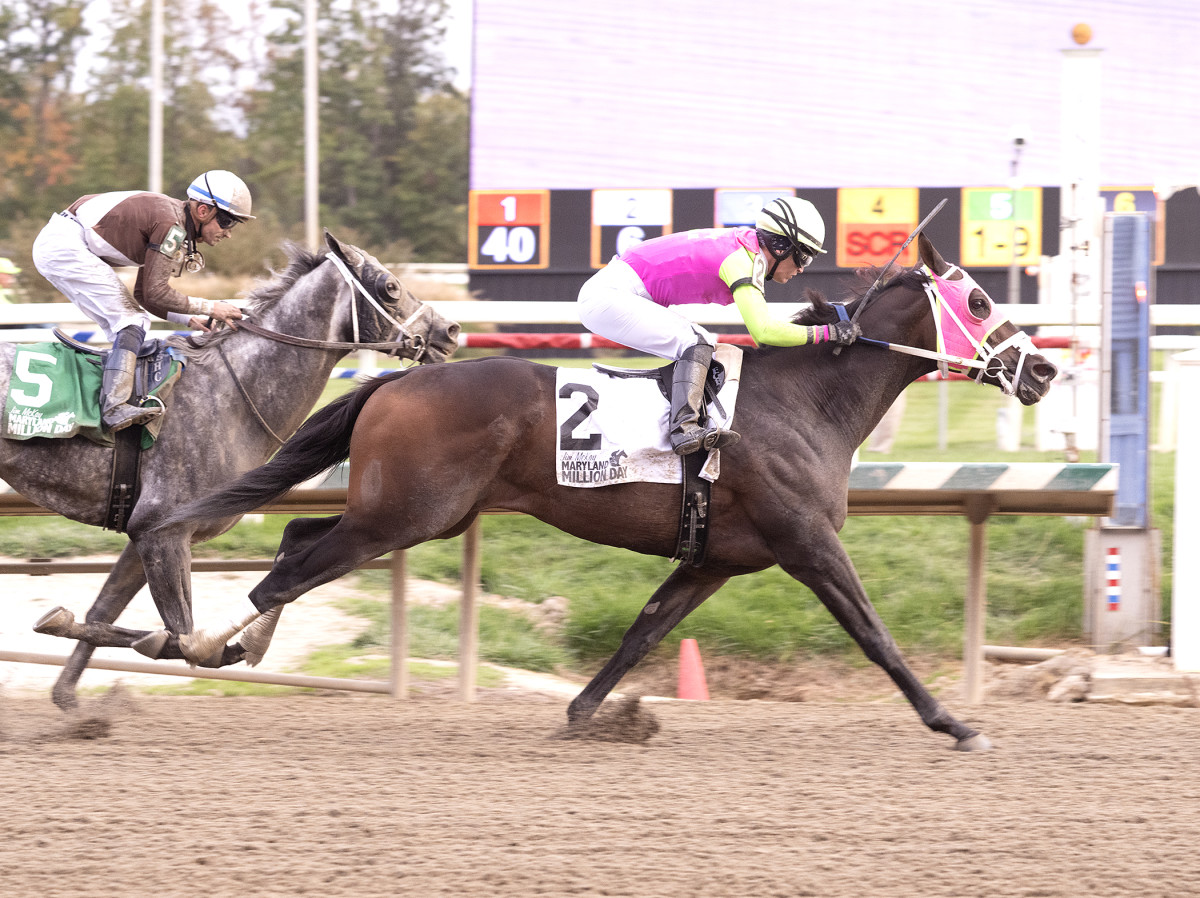 Maryland Million: Barbadian Runner Upsets Post Time In Classic ...