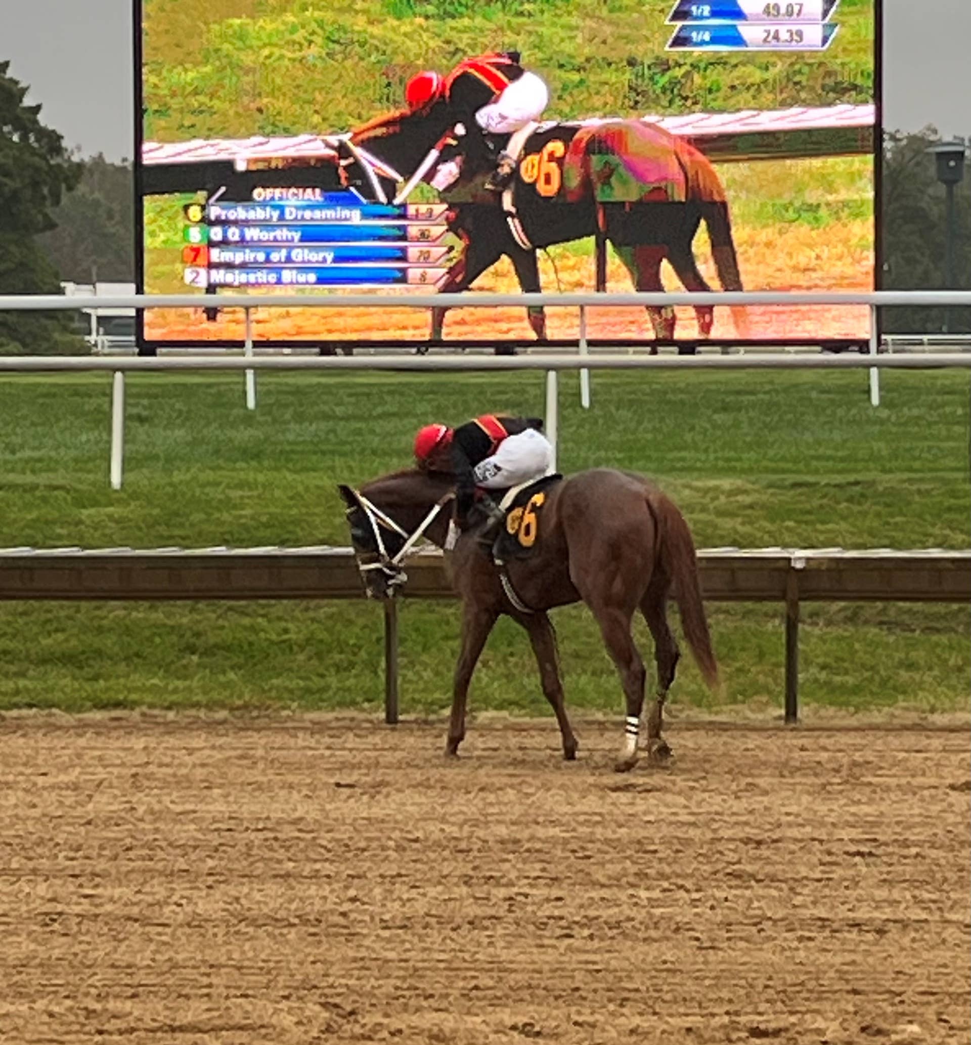 Favorite Probably Dreaming Coasts Clear In Delaware Park's Rocky Run ...