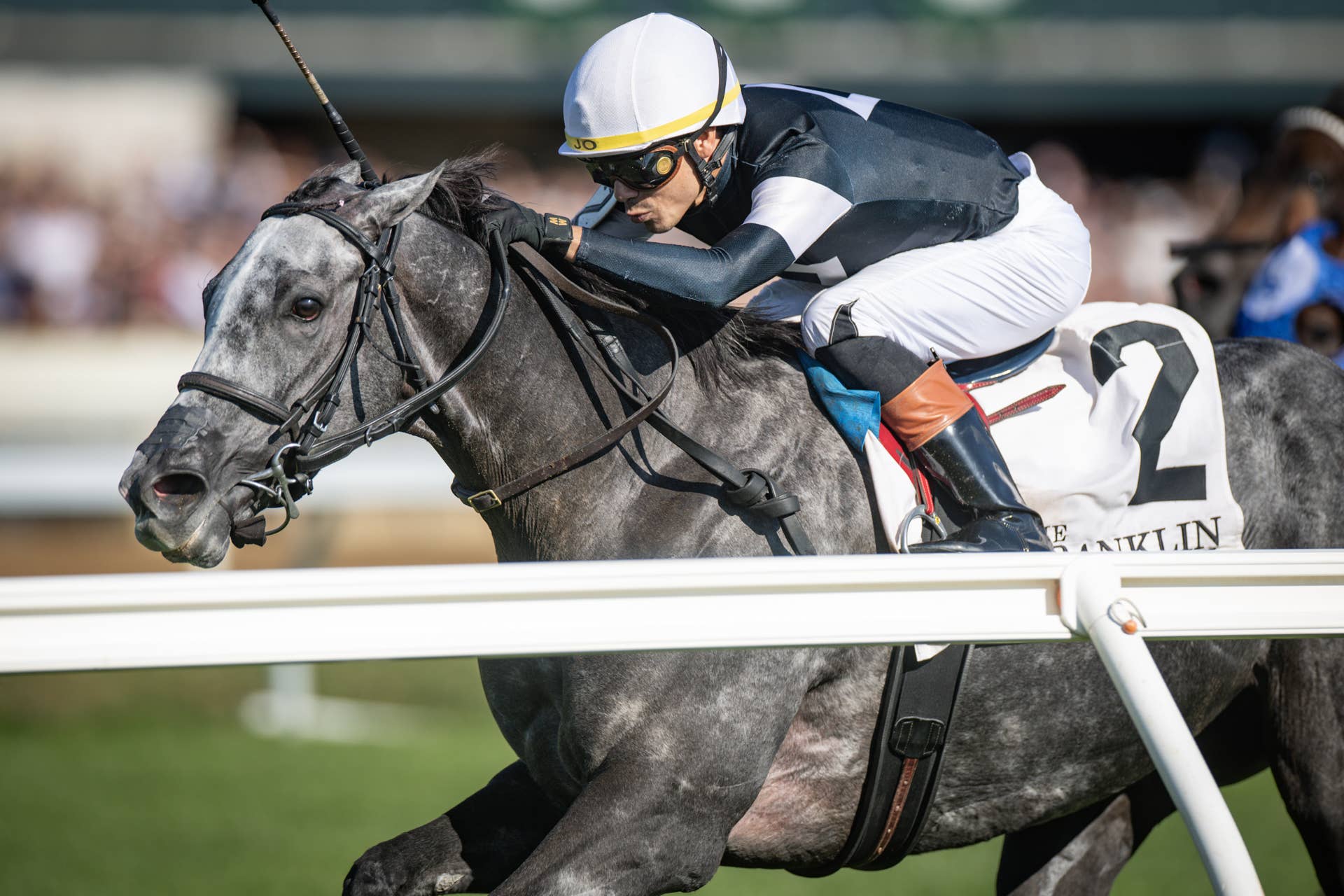 'I Rode Her With Patience': Time To Dazzle Rallies From Last To Win ...