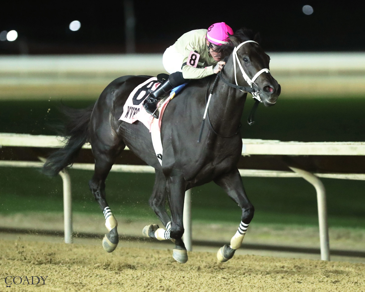 Teachintherelease Scores Eye-Catching Romp In West Virginia Breeders ...