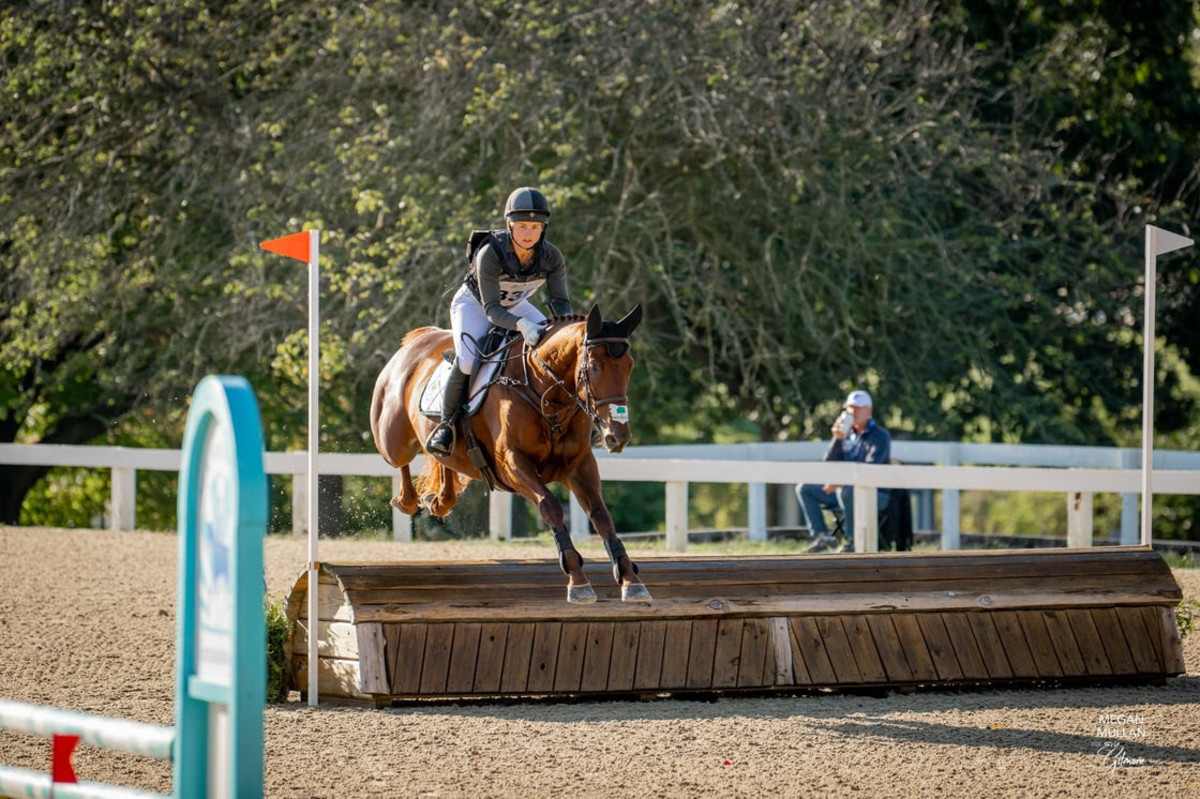 VIDEO: Emotional Freestyle Performance Among Divisional Champions At ...