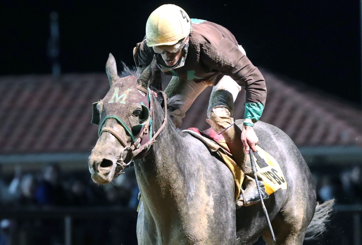 Possession Of Electrical Device Lands Second-Leading Charles Town ...