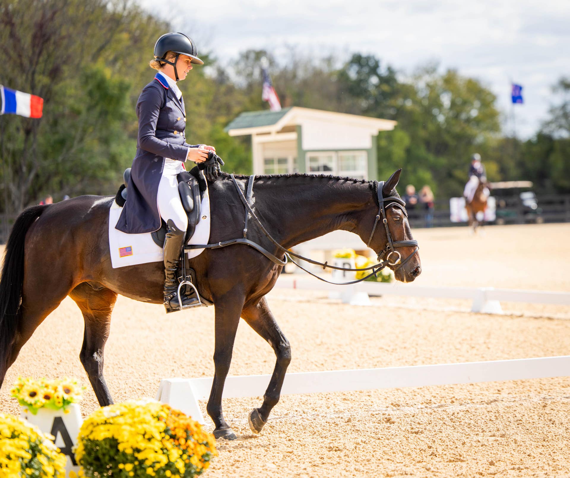 'It Feels Like He Has Wings': Irish-Bred OTTB Rising In U.S. Eventing ...