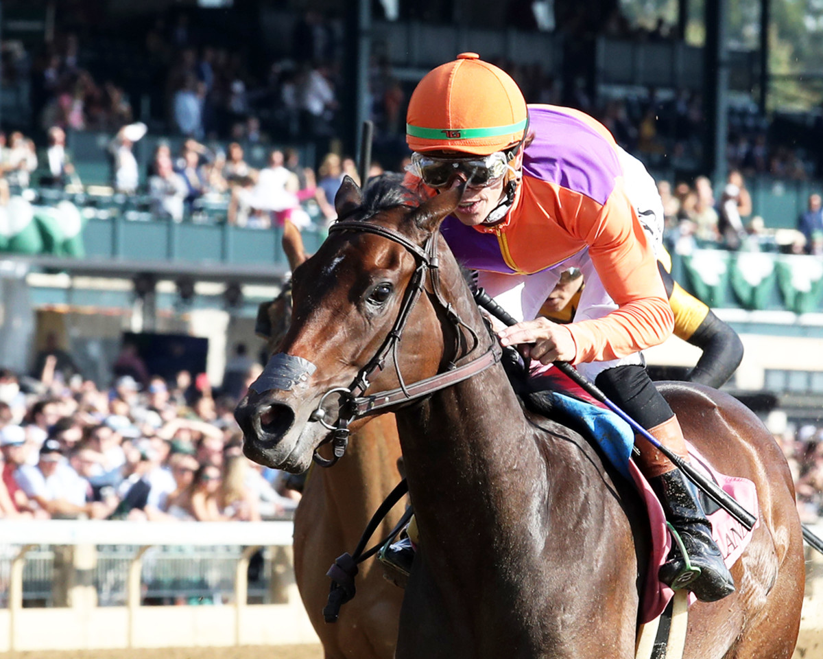 Racetrack Roundup: Course Designer Named For 2028 Olympic Equestrian ...