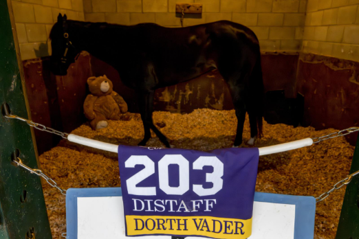 Racetrack Roundup: BC Distaff Hopeful Dorth Vader Shares Del Mar Stall ...