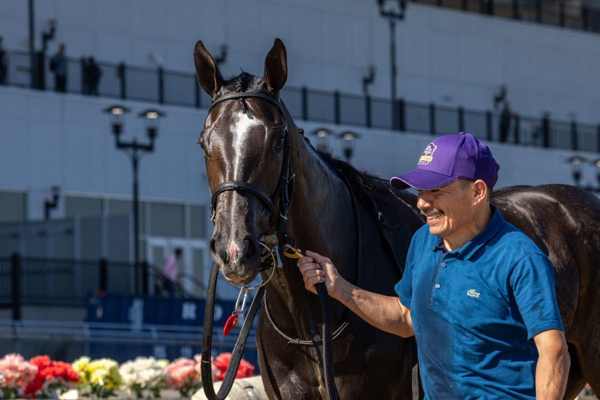 From Orphan To Grade 1 Winner: Iron Orchard Puts Perfect Record On The Line In Breeders' Cup ...