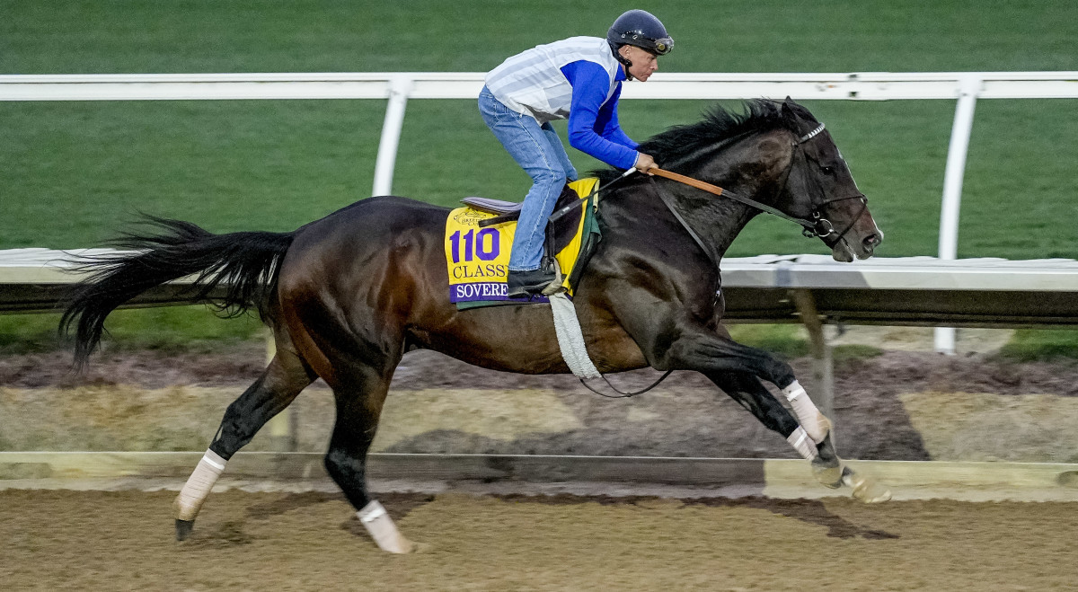 Breeders' Cup Classic Favorite Sovereignty Scratched From Race Due To ...