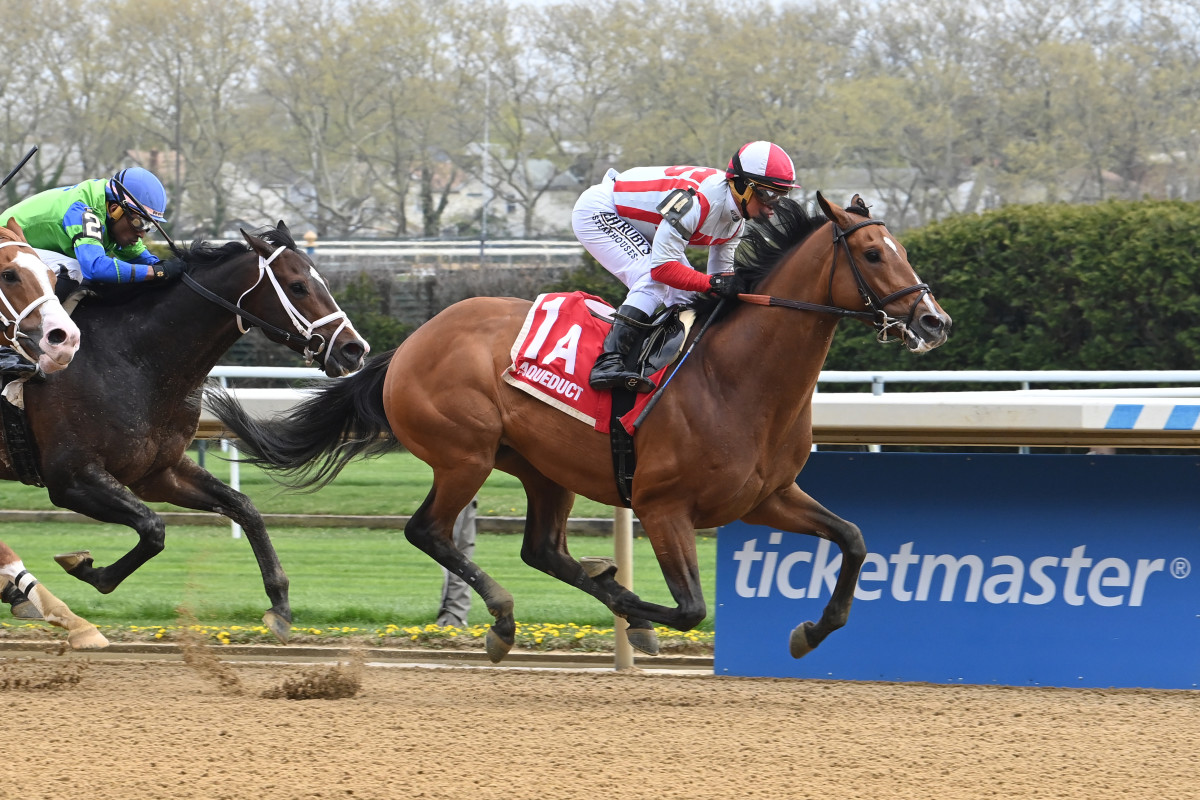 Preview: The Paulick Report's 2025 Turkey Awards - Paulick Report ...