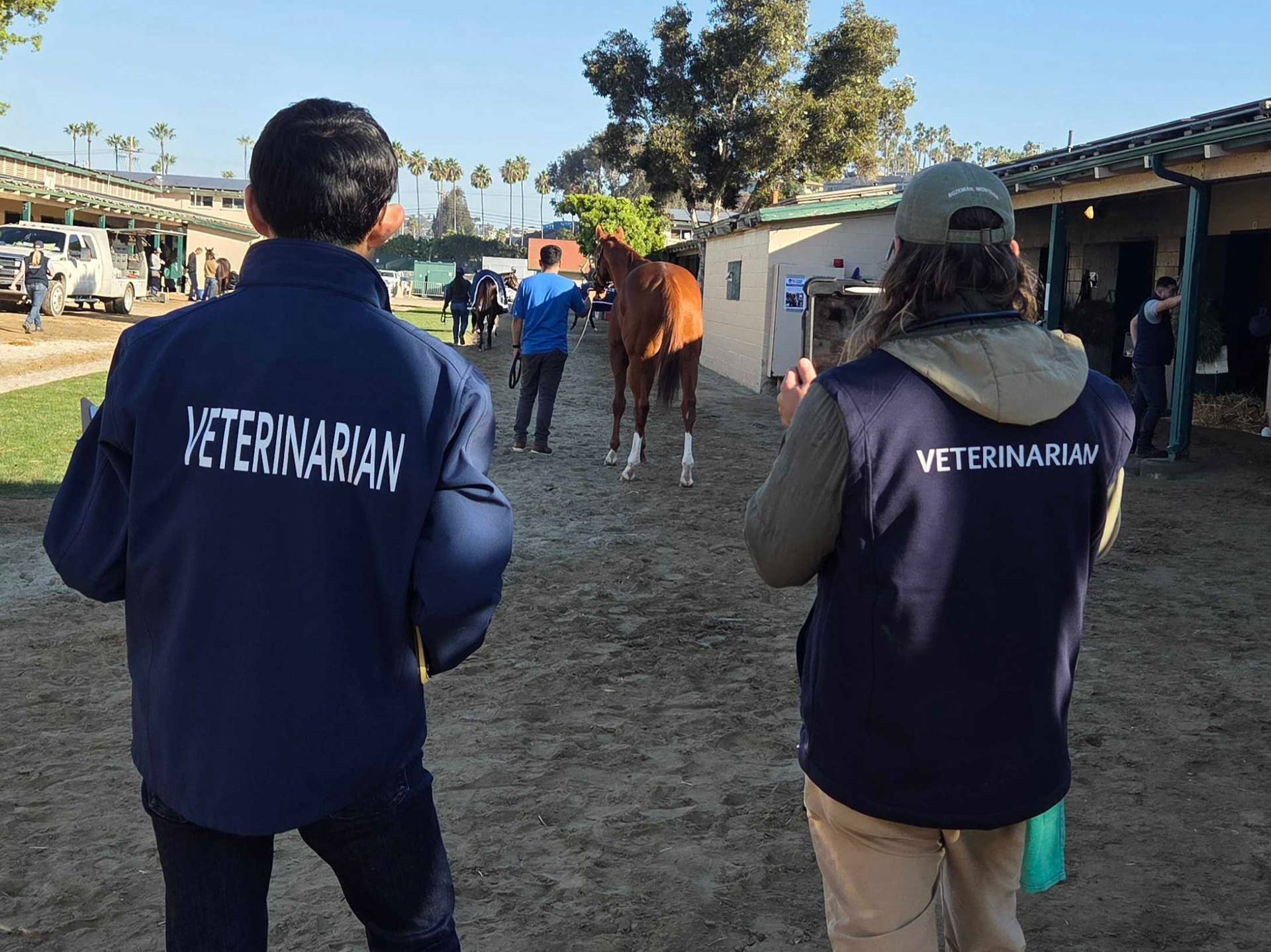 Regulatory Vets In Three Major Racing Jurisdictions Now Using ‘Gait ...