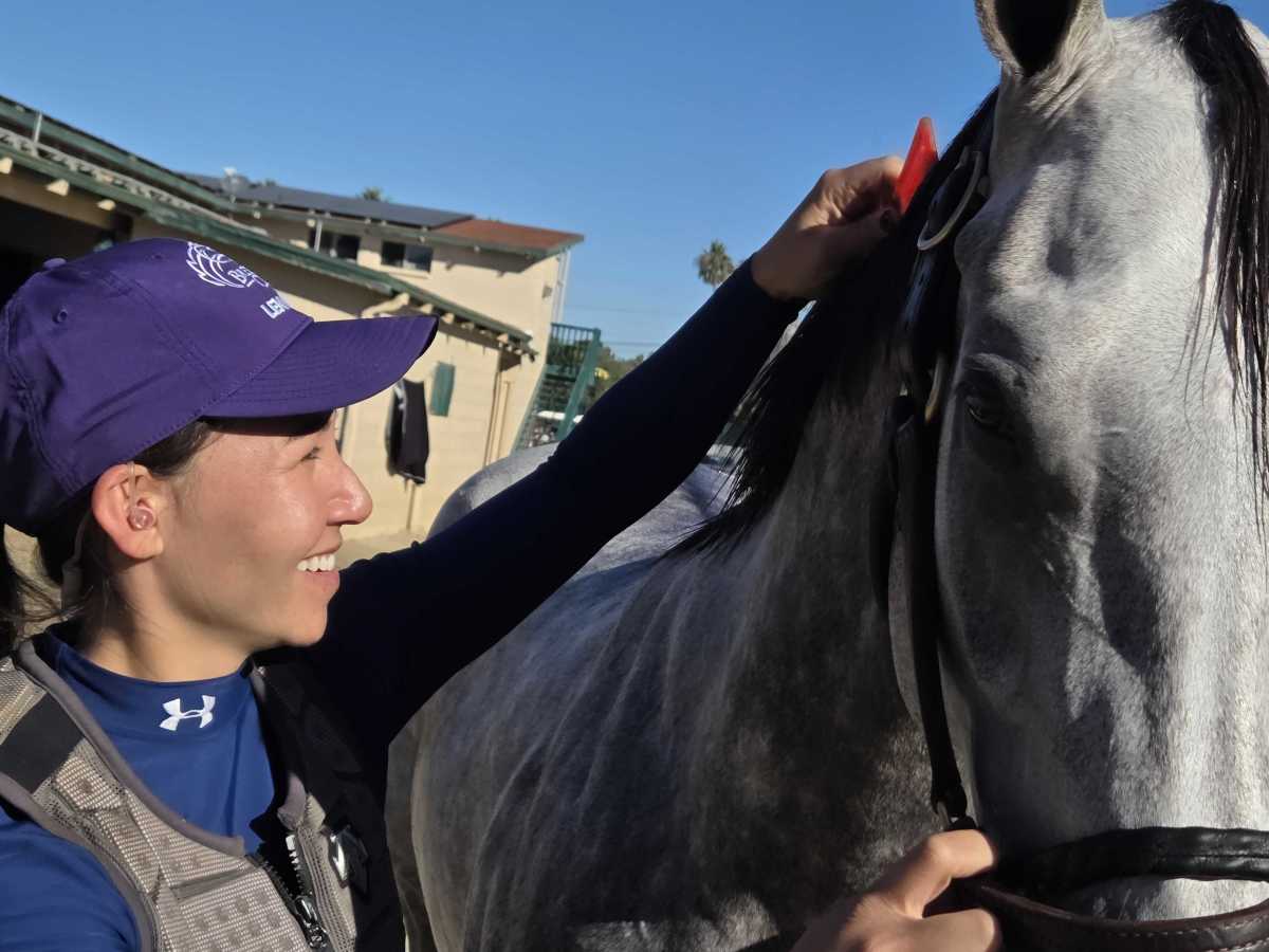 Top 5 Feel-Good Stories You Should Read Before Breeders’ Cup 2025 ...