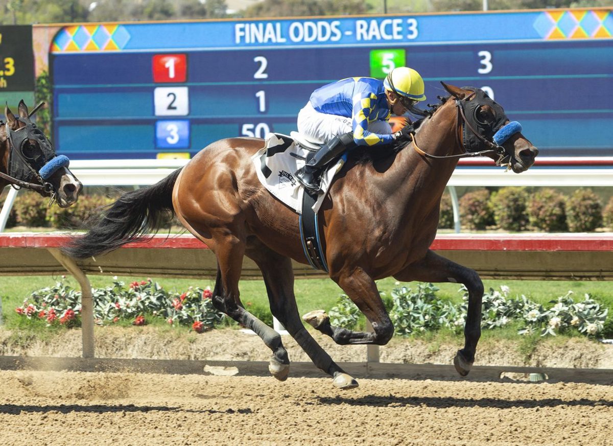 Equibase Analysis: Provenance Brings Major Potential To Los Alamitos Futurity - Paulick Report ...