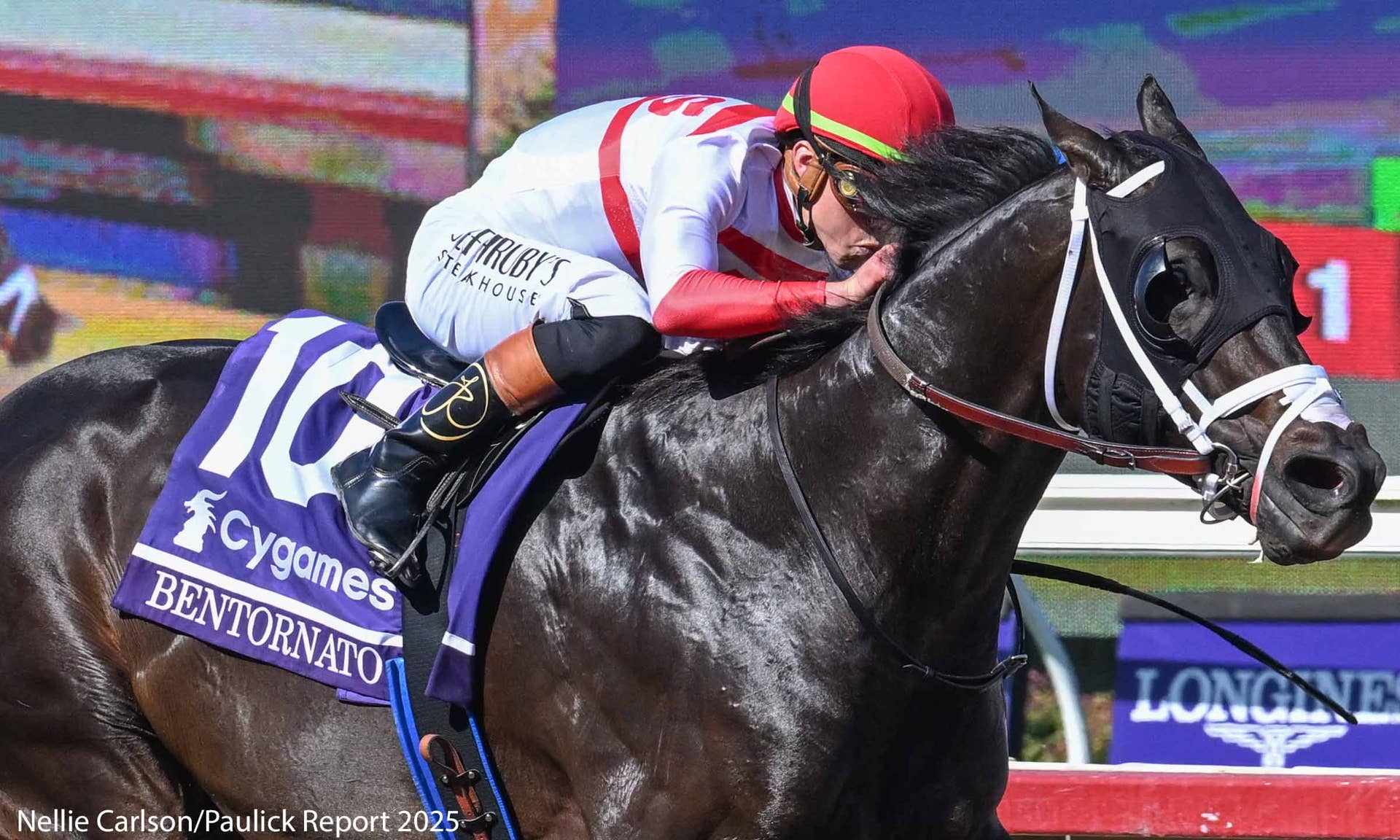 Bentornato Goes One Better In Breeders' Cup Sprint - Paulick Report ...
