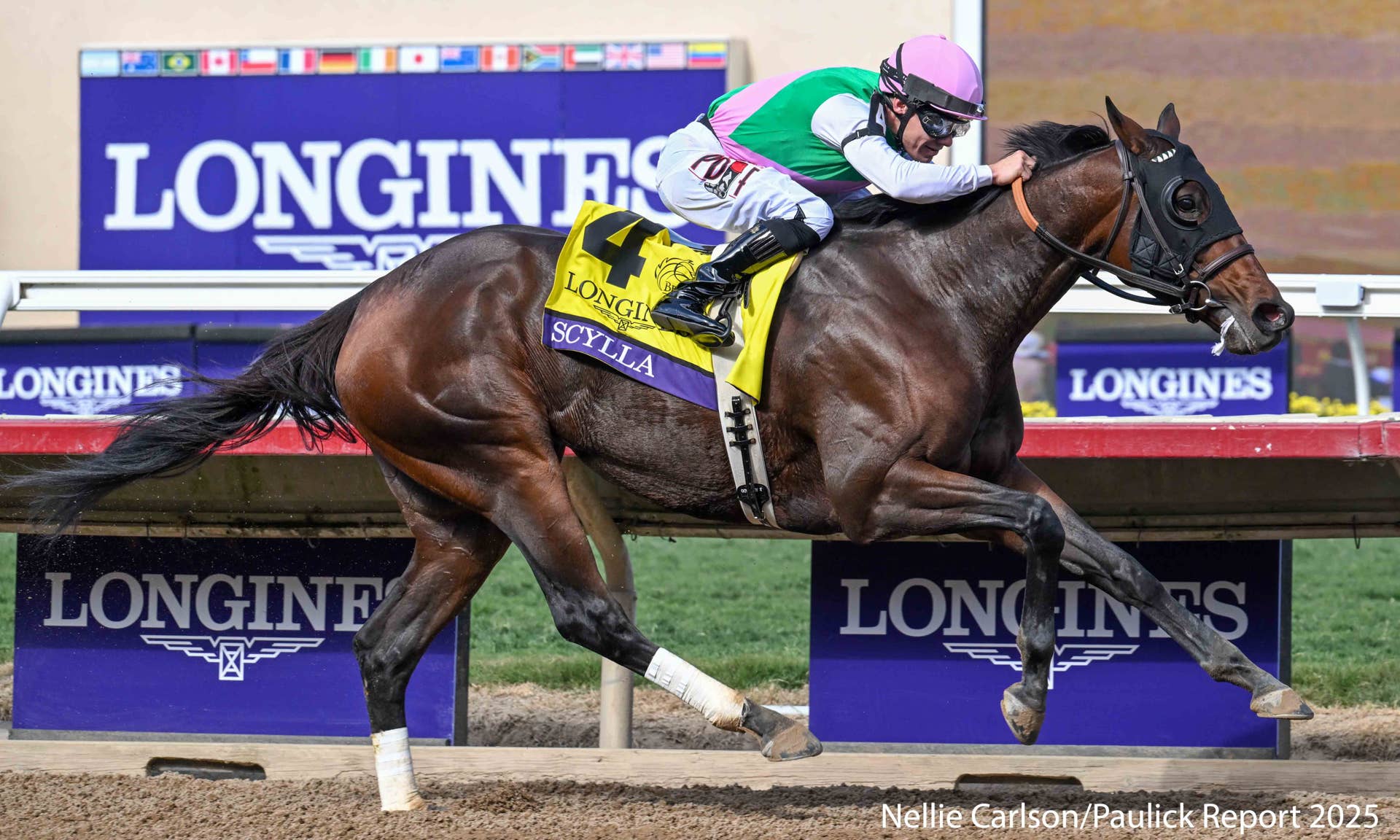 Bloodlines Presented By Walmac Farm: Distaff Winner Scylla Exemplifies ...
