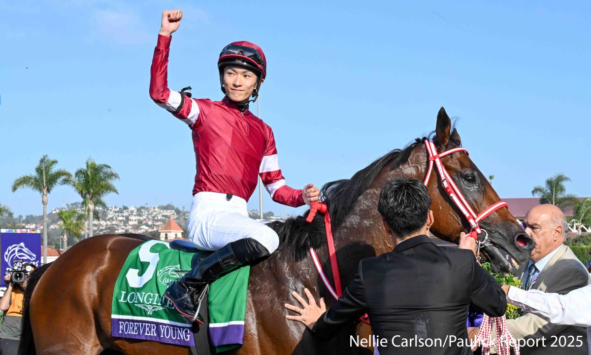 'We Got The Number One In America': Forever Young Wins Breeders' Cup ...