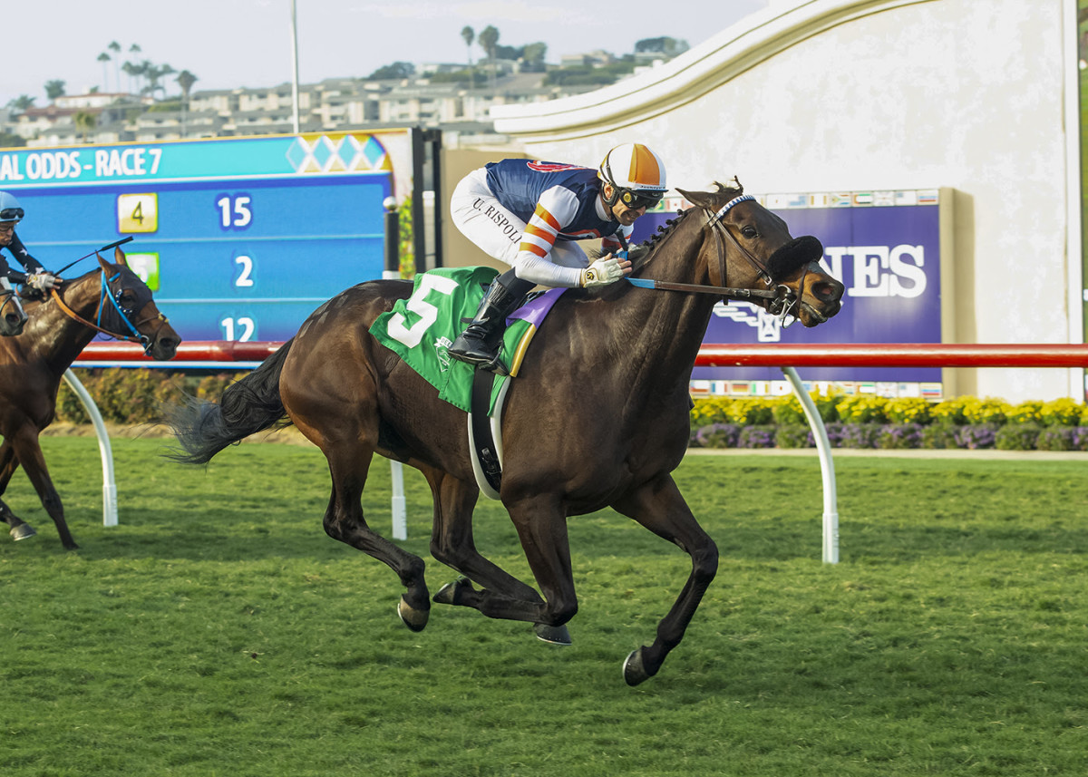 Racetrack Roundup: Larry Collmus Returns To Announcers Booth At Del Mar ...