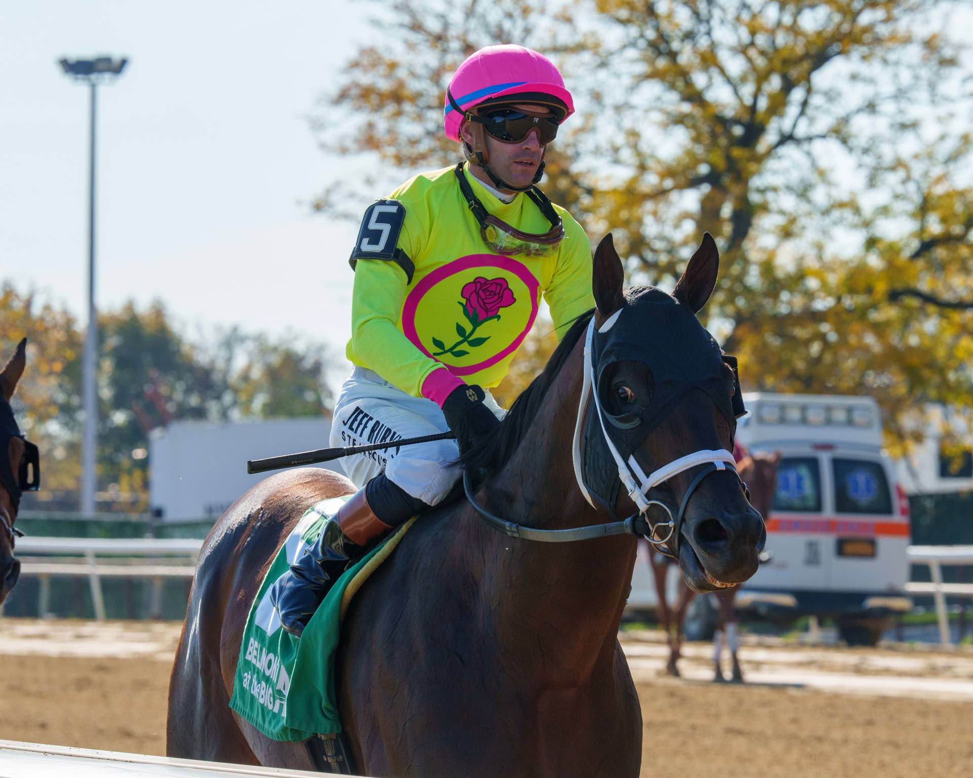 Bishops Bay Looks To Follow Up Forty Niner Score In Cigar Mile ...