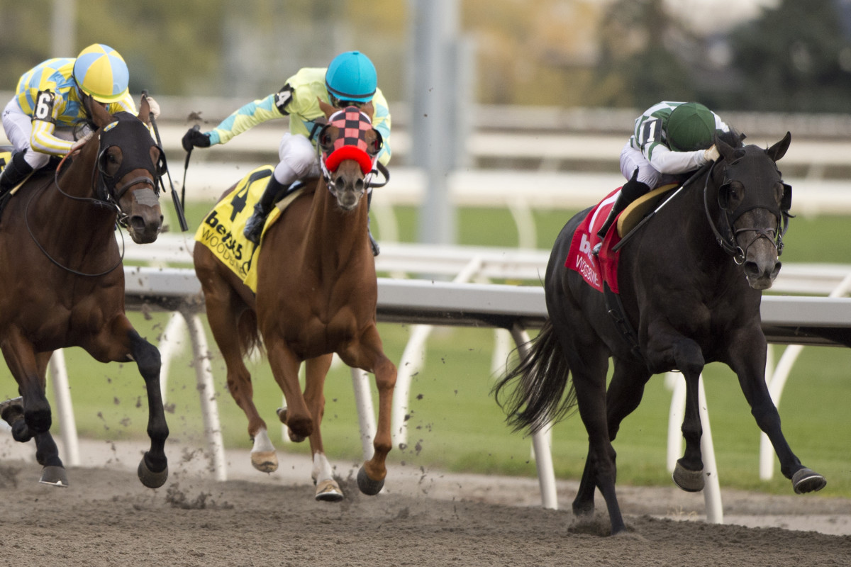The Big Con Holds Off Challenger To Earn First Stakes Win In Woodbine's ...
