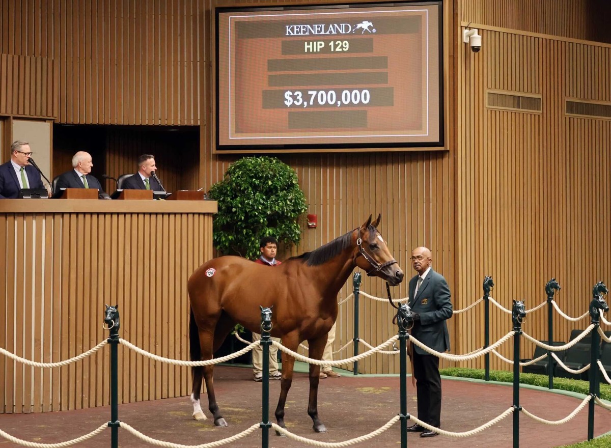 Lush Lips Brings $3.7 Million To Top First Day Of Keeneland November ...