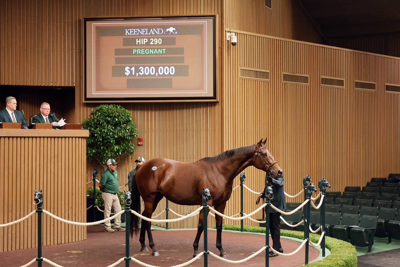 Sales On Day 2 Of Keeneland November Nearly Double Amount From Last ...