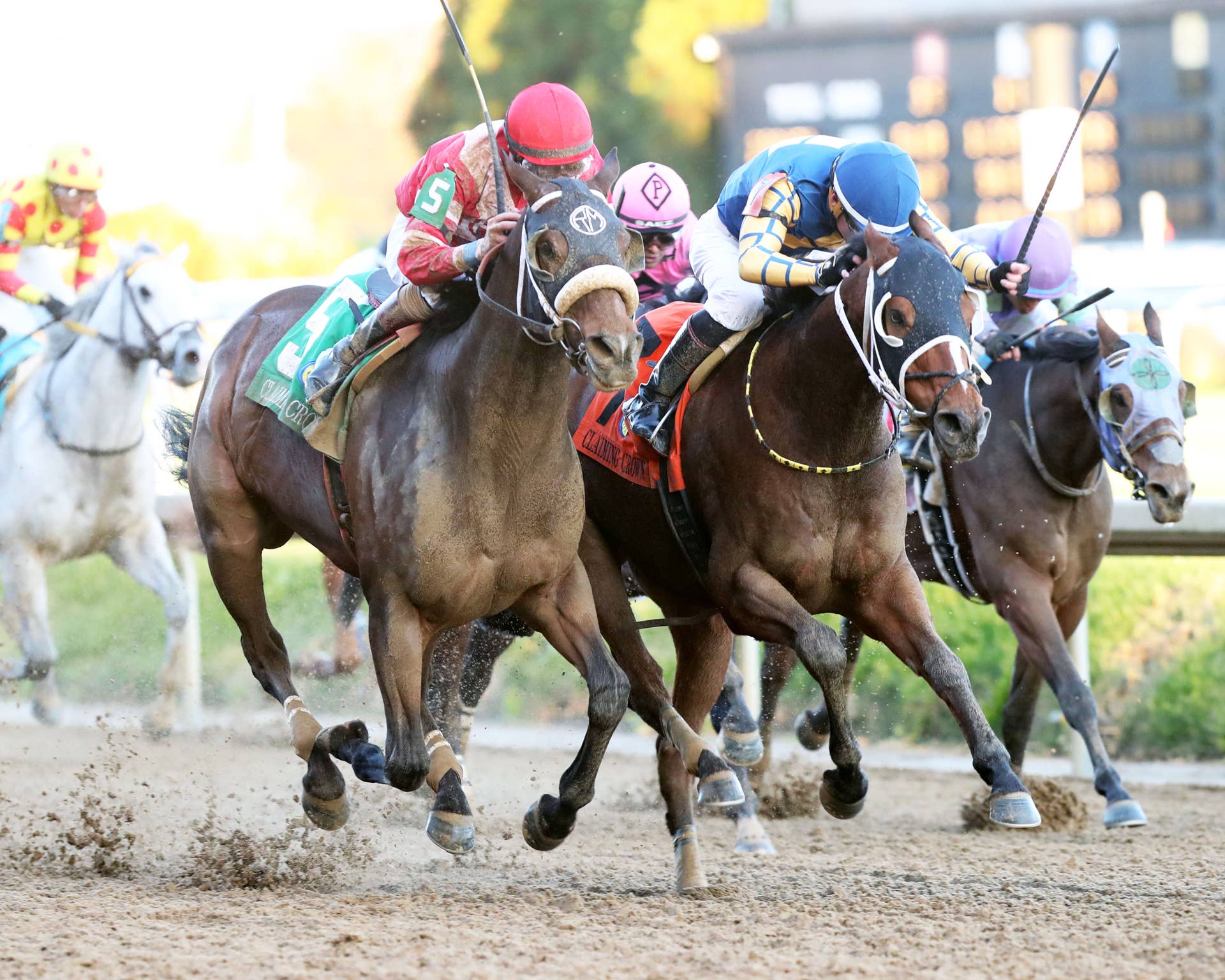 'The Long-Range Goal': Keen Cat Returns In Claiming Crown Rapid Transit ...