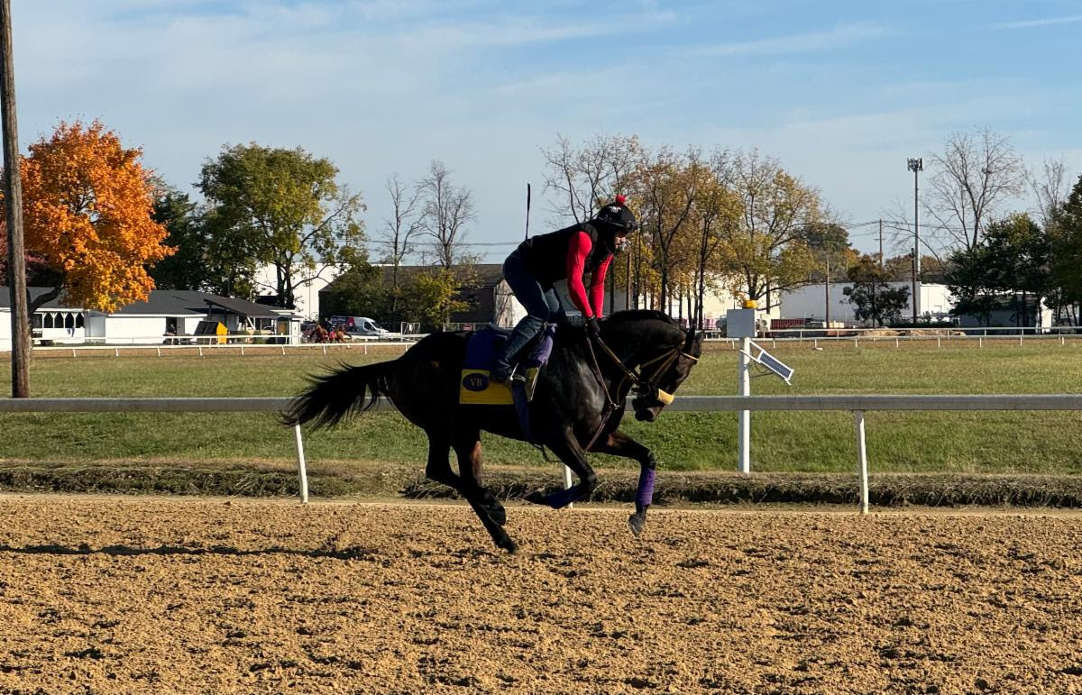 Tom Van Berg Hopes To 'Dance' Into Claiming Crown Winner's Circle ...