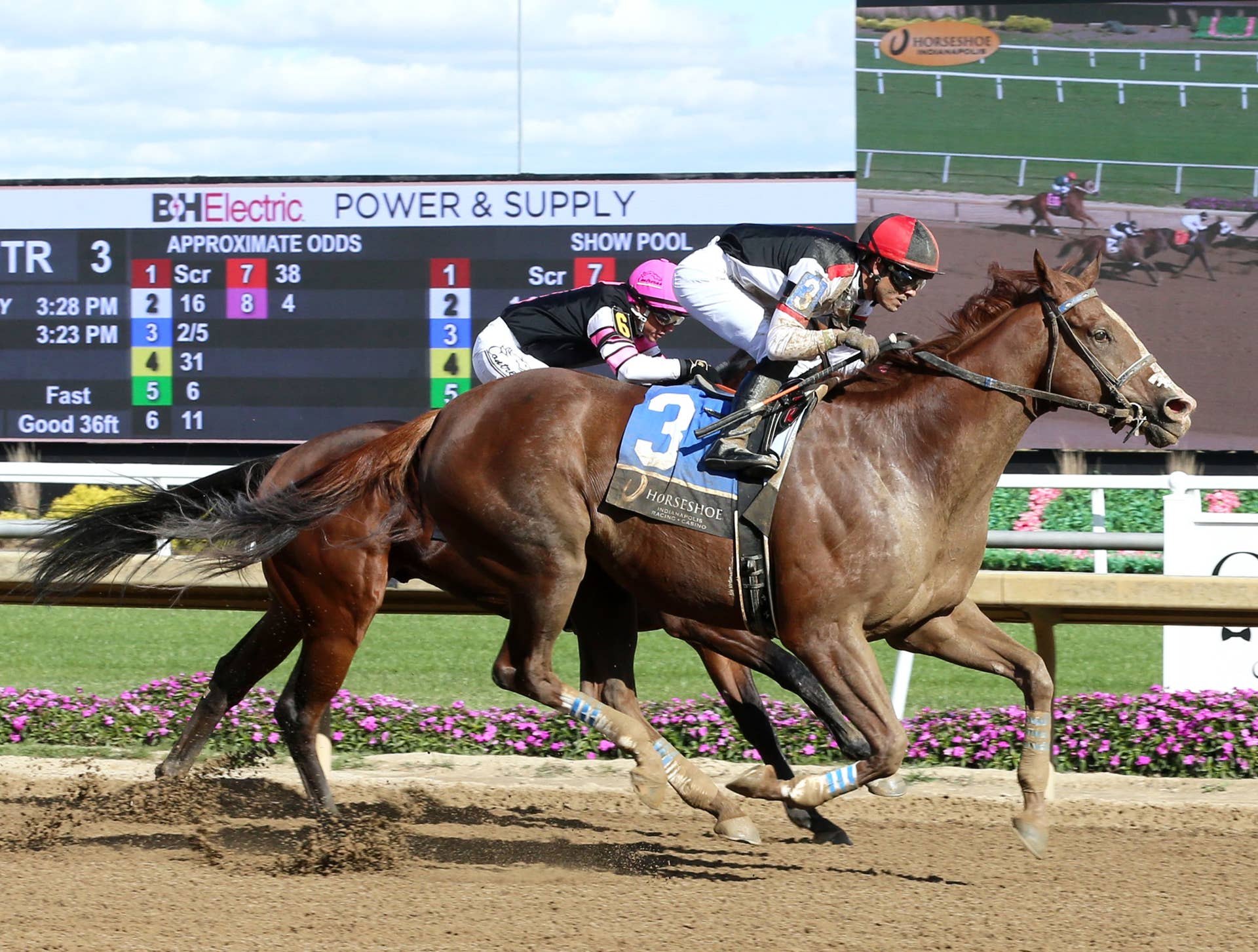 Cupid's Runaway, With Six Wins, Repeats As Horseshoe Indy Horse Of The ...