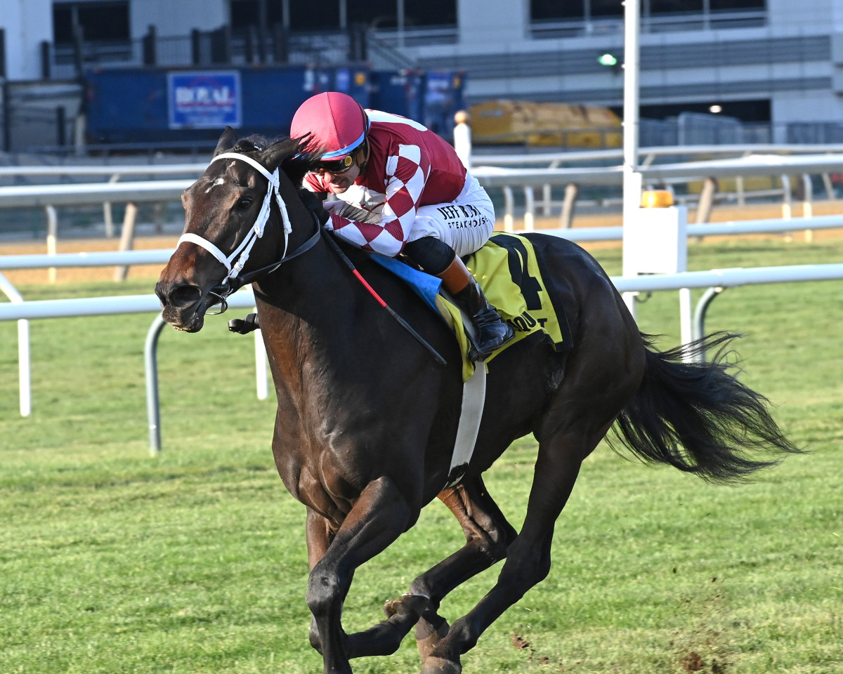 Grade 1 Winner Fionn Leads Nominations For Pegasus World Cup Day ...