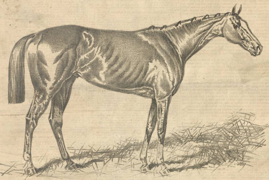 Lest We Forget: Before Secretariat, Hanover Was The Original ...