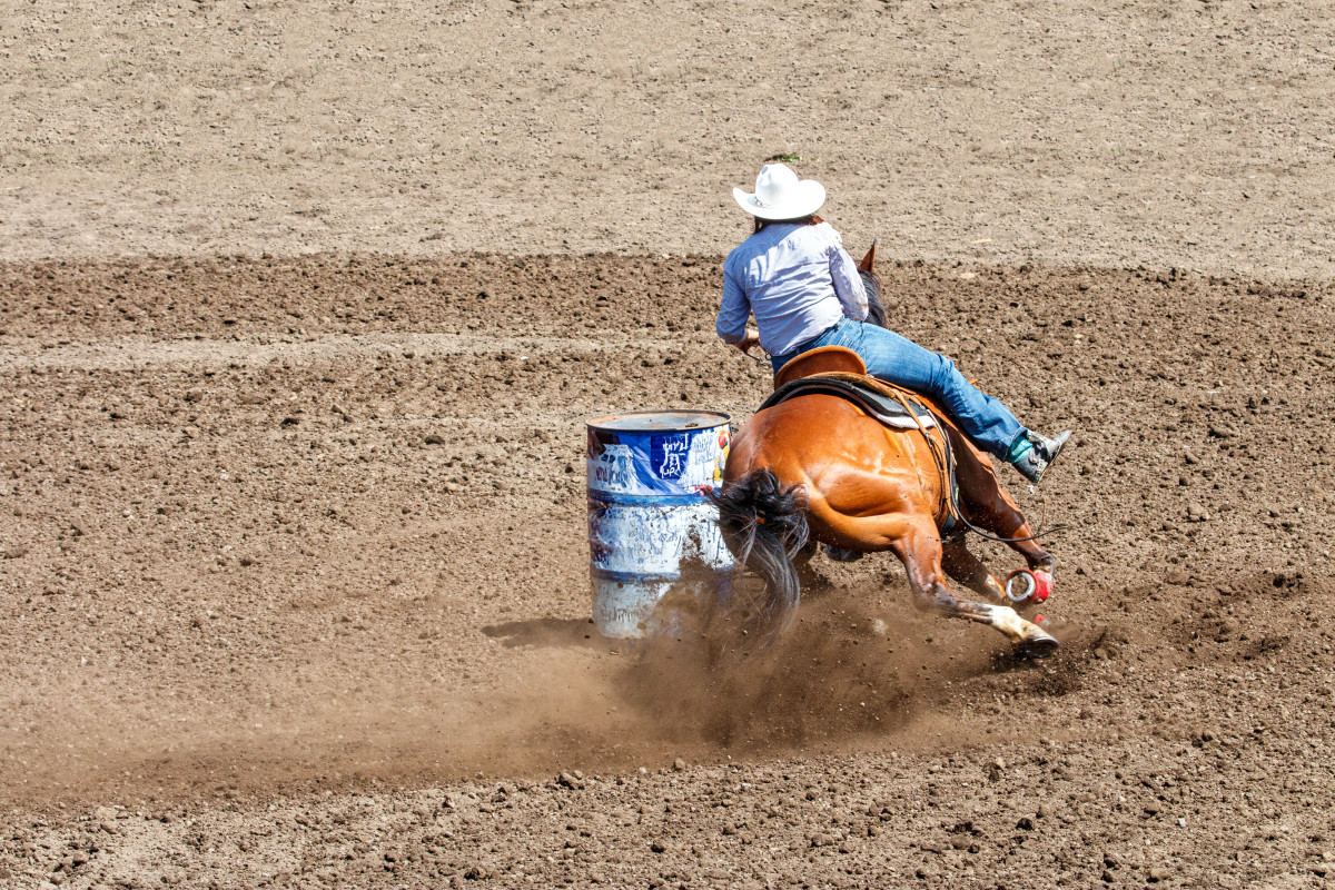 EHV-1 Outbreak Reported After World Championship Barrel Racing Finals ...