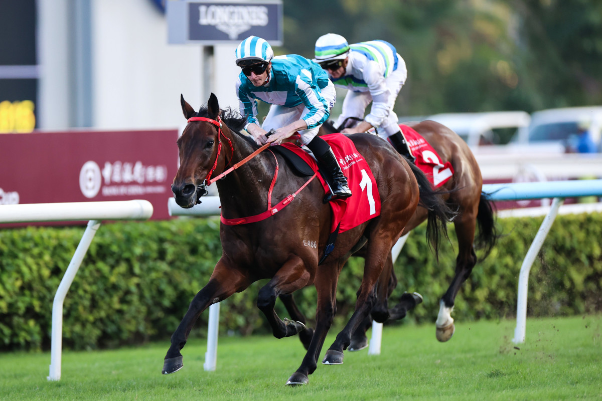 'He's So Special': Romantic Warrior Strikes Third Jockey Club Cup ...