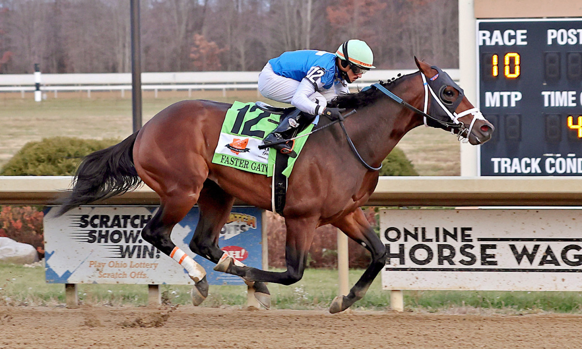 Vekoma Colt Faster Gator Records First Stakes Win In Steel Valley ...