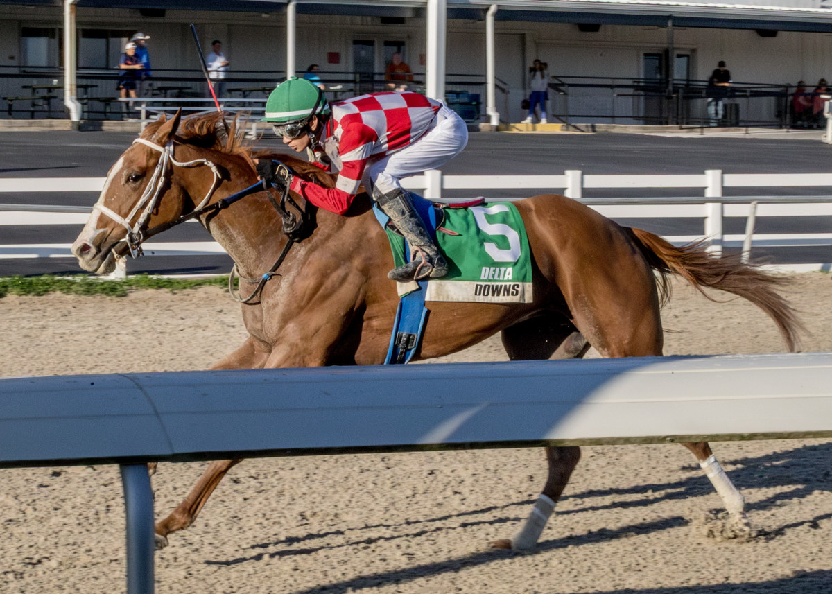 Tom Amoss-Trained Actis Romps On Stakes Debut In My Trusty Cat ...