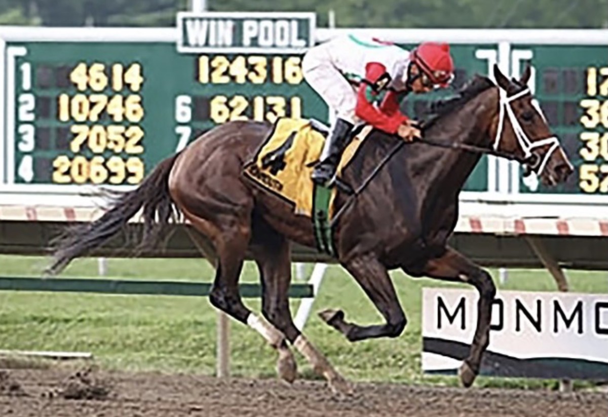 Bloodlines Presented By Walmac Farm: Using Rosetta Stone To Decipher A Stakes-Winning Pedigree ...