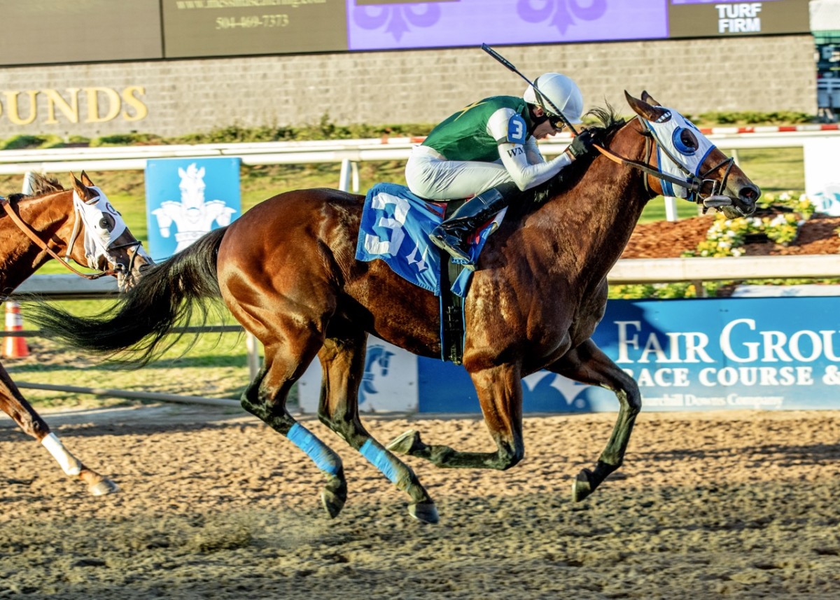 Lecomte Undercard Bolstered By Trio Of Competitive Turf Stakes ...