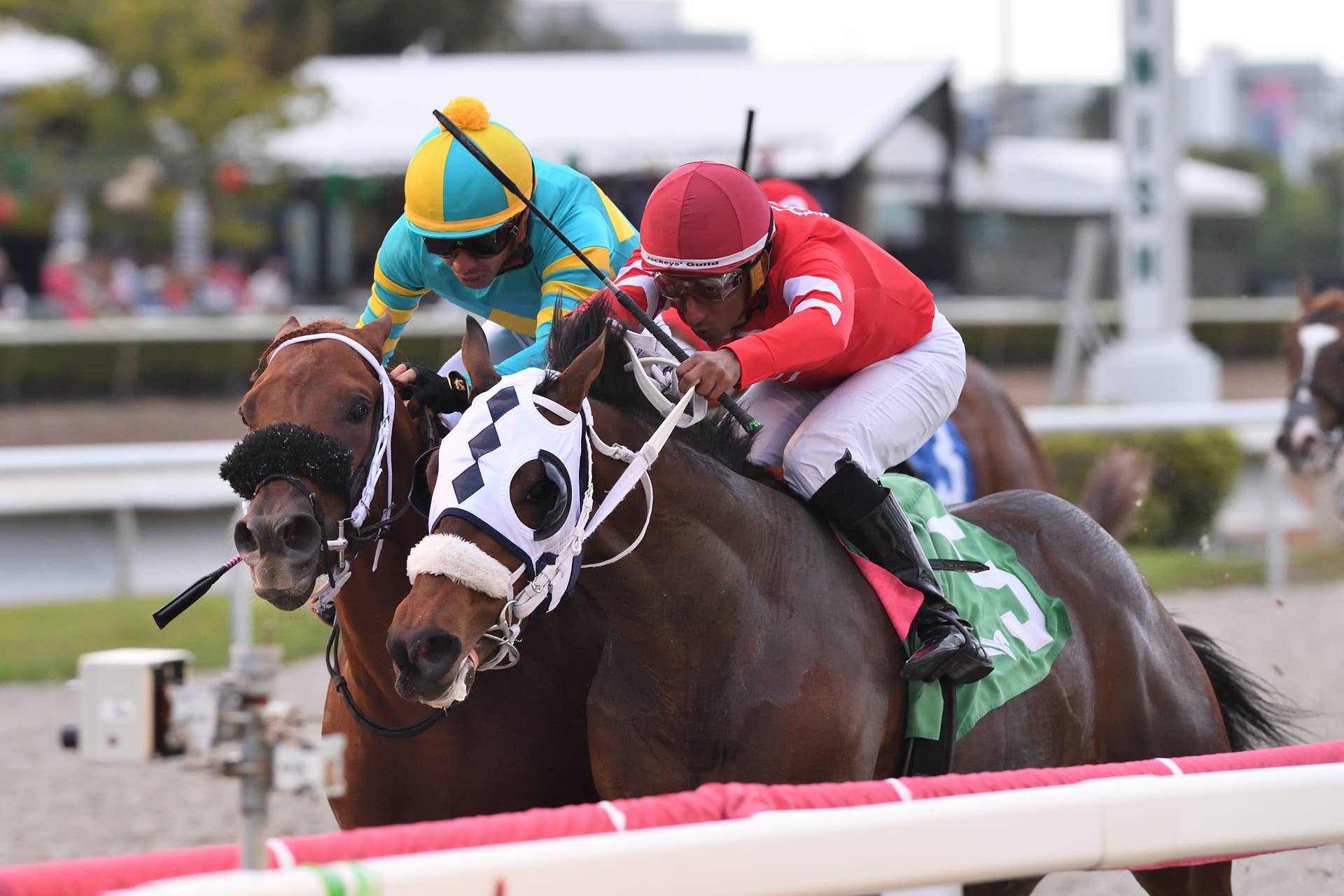 'Tough Call': Glorious Boy Awarded Pulpit Victory Following Dead Heat ...