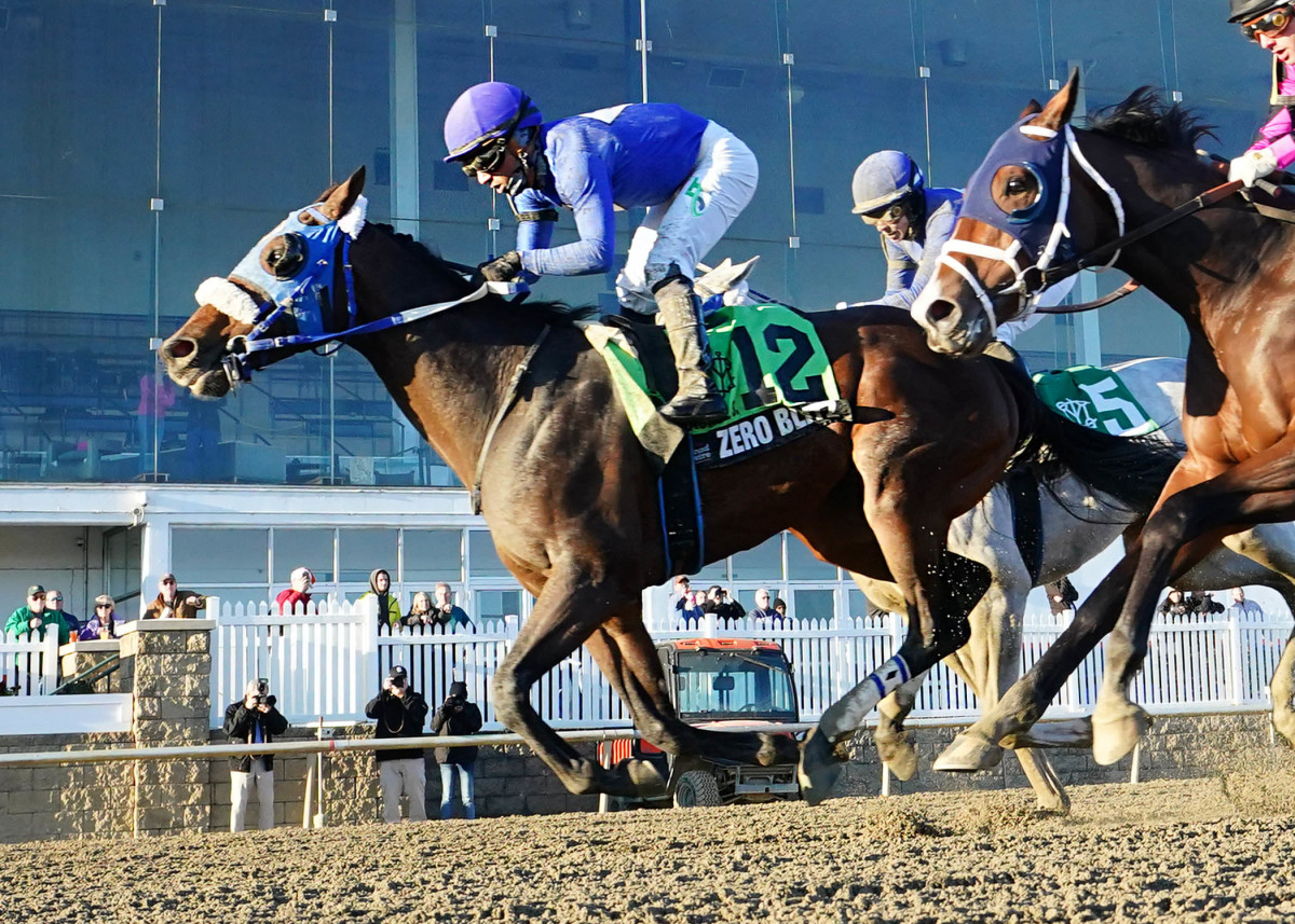A Horse For Course: Zero Blitz Lands City Of Laurel In Stakes Bow ...