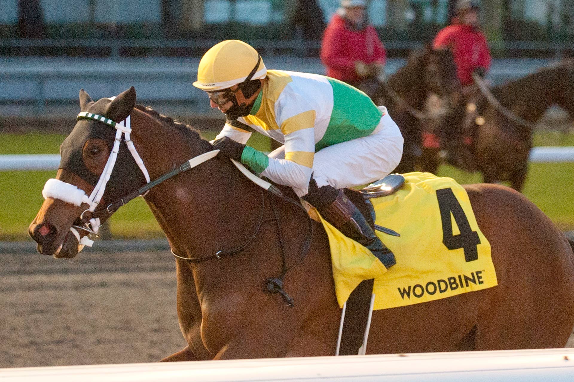 Piper's Gift Streaks Clear In Princess Elizabeth - Paulick Report ...
