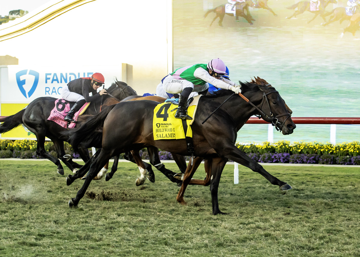 Chad Brown Lands Record Fifth Hollywood Derby Victory With Salamis ...
