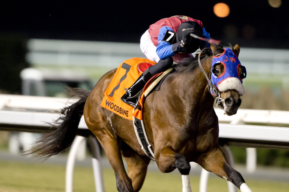 Fire and Wine Romps To Front-End Win In Coronation Futurity - Paulick ...