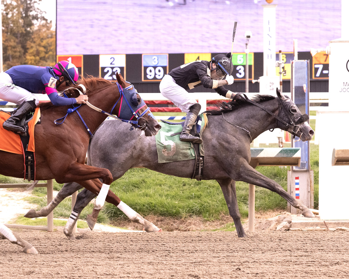 Tartabull Makes Stakes Debut In Laurel’s Juvenile Stakes - Paulick ...