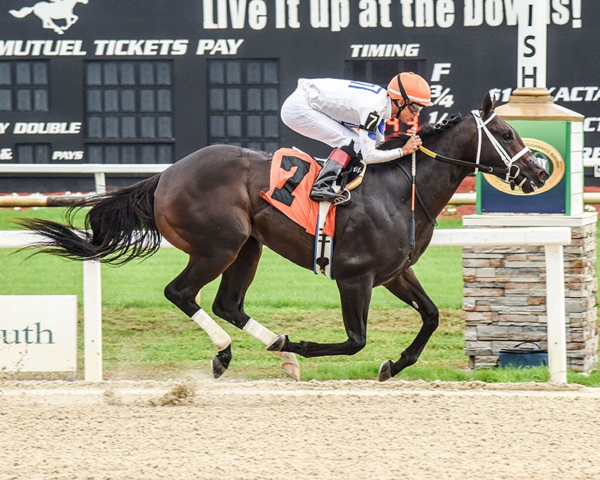 Tampa Bay Downs: Solitude Dude Lowers Stakes Record in Inaugural ...