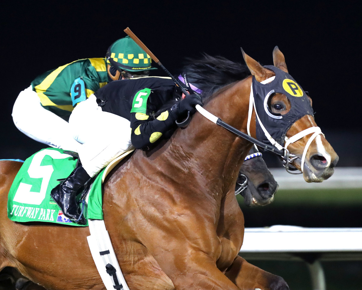 William McKnight Contender Zverev Another Sharp Claim For Trainer Mike ...