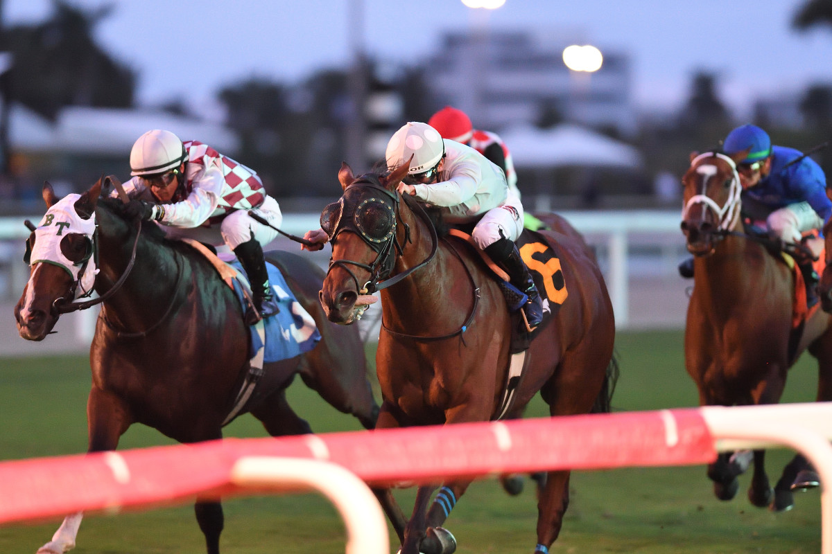 Layabout Rebounds To Win Tropical Park Derby Thriller - Paulick Report ...