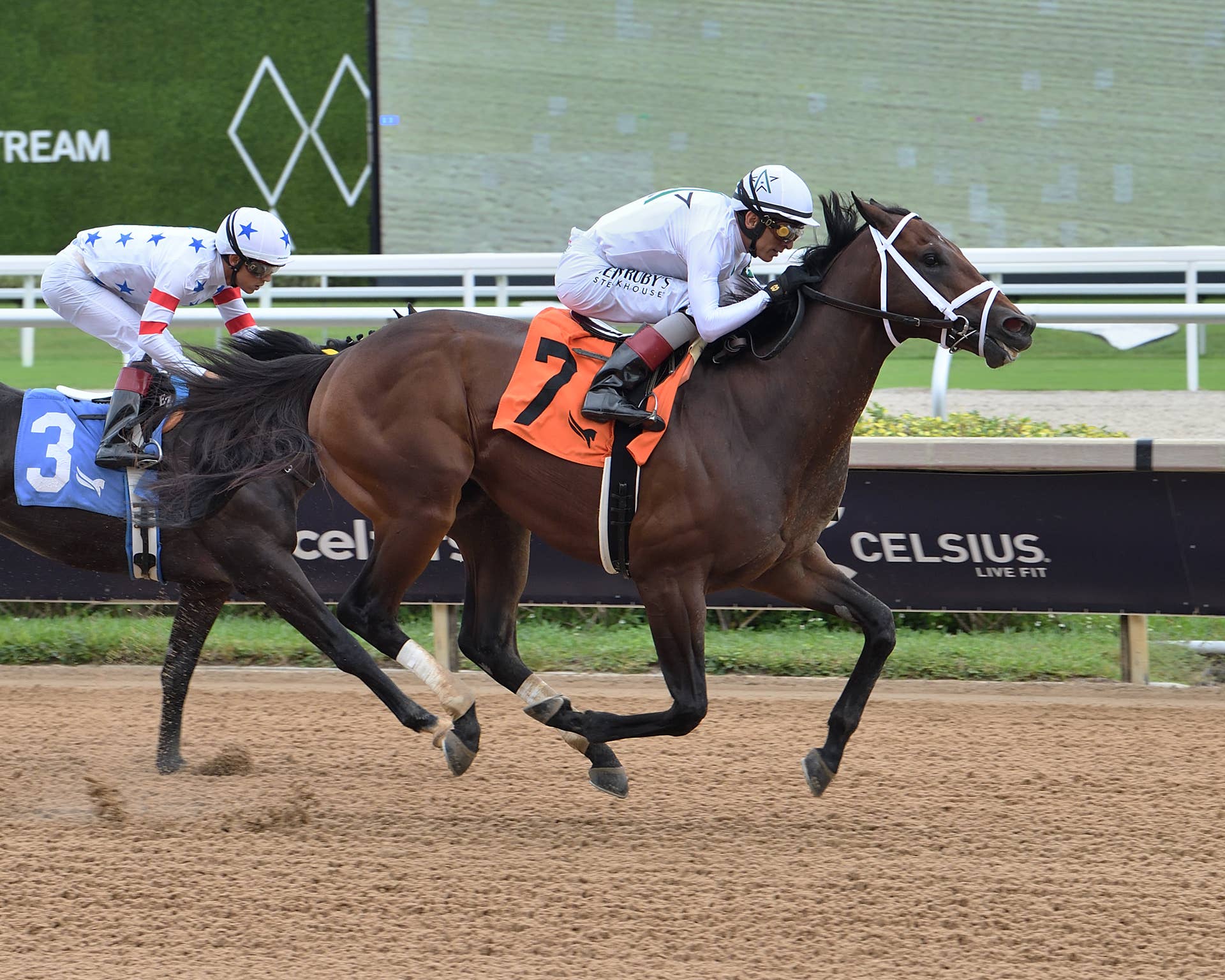 Pricey Nyquist Colt Jackson Hole Wins Career Debut At Gulfstream Park ...