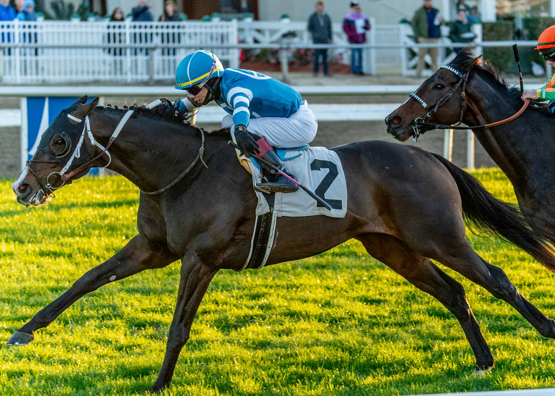 Gigante Seeks Buddy Diliberto Repeat - Paulick Report | Latest news and ...