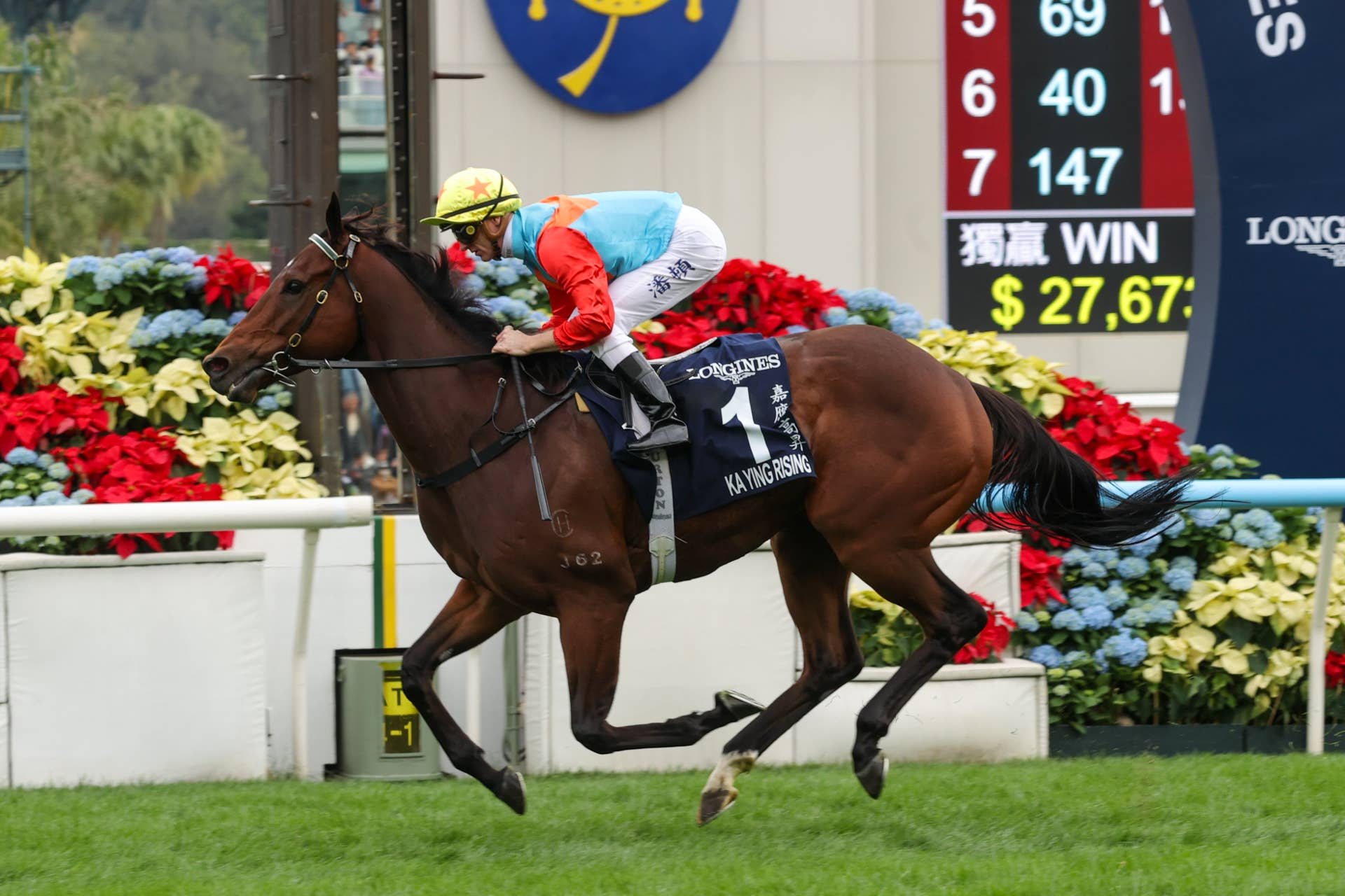 'A League Of His Own': Ka Ying Rising Soars Higher With Hong Kong ...