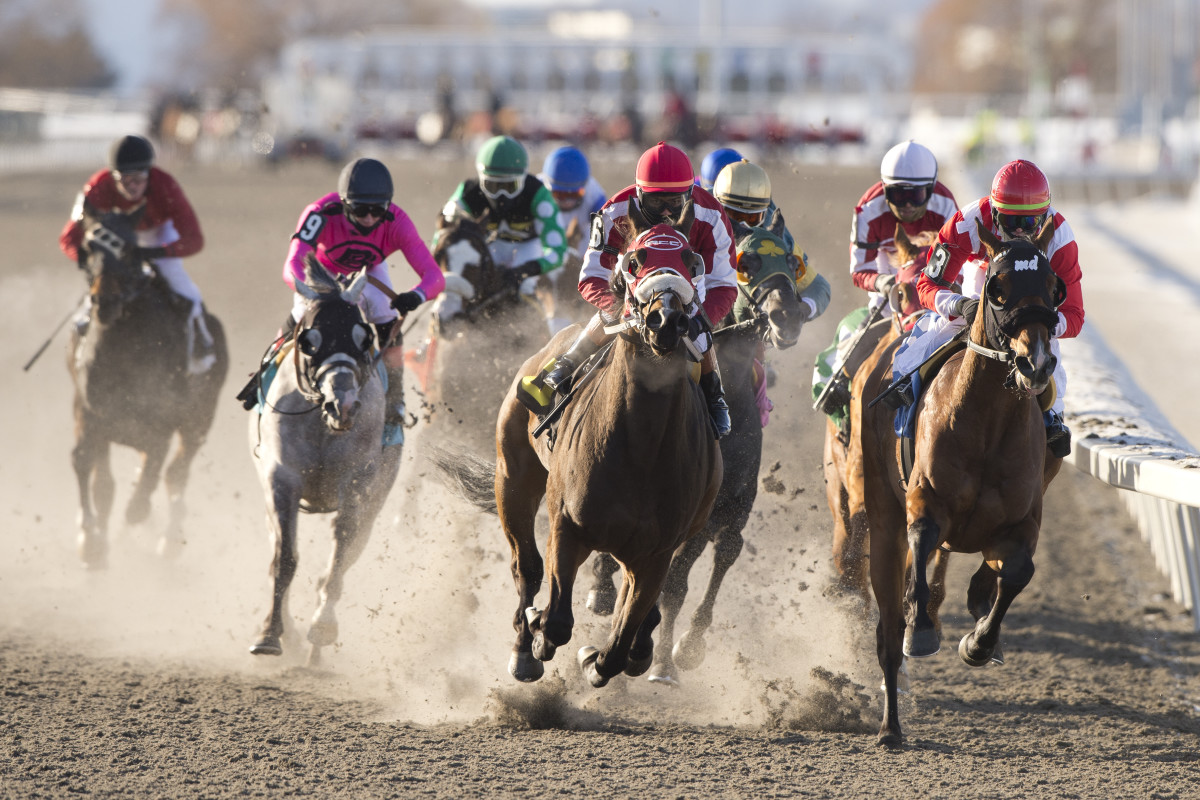 Woodbine, Podium Partner To Offer Enhanced Race Data - Paulick Report ...